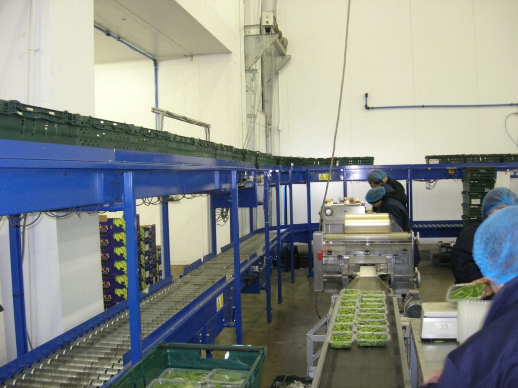 Packing Lines | Monk Conveyors